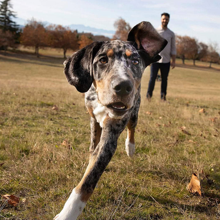 The Big Stuff — Everything you need to plan for life’s biggest moments